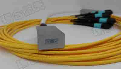 2D Fiber Array - CIOE2025-Booth: 4D211、4D212 - CIOE