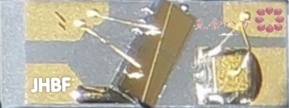 SOA半导体光放大器COC系列 - 2025展位号:6A33 - CIOE中国光博会