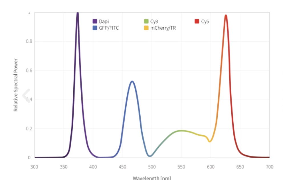 ALE/1 –– 光纤耦合 UV-LED 光源 - 2025展位号:3A40-6 - CIOE中国光博会