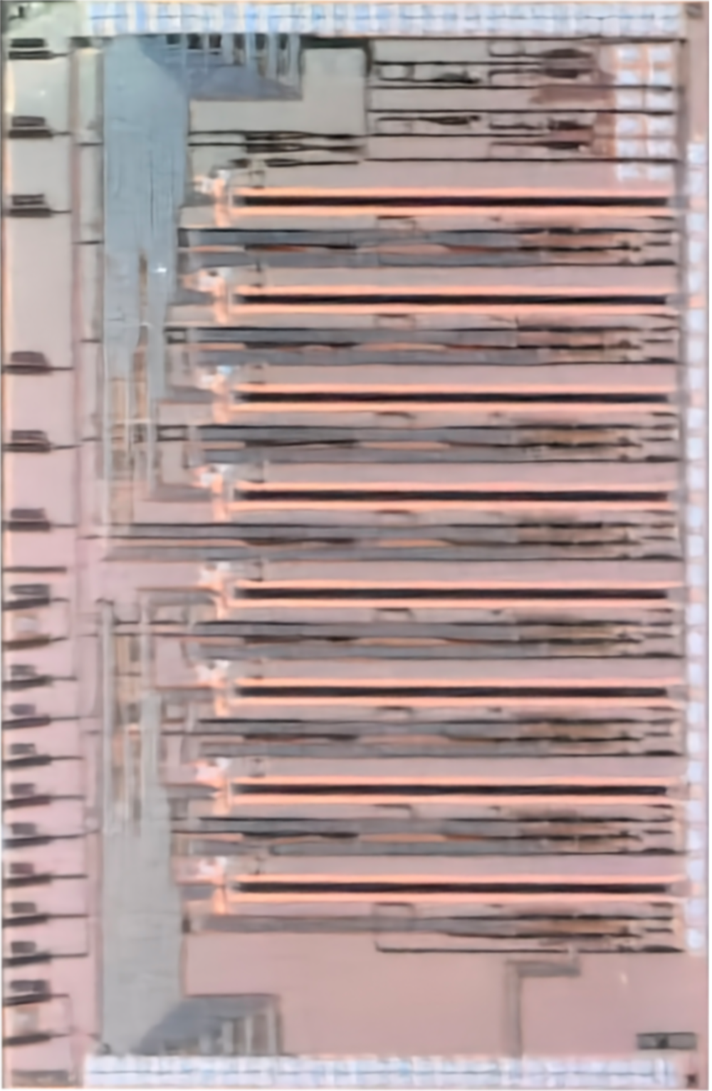 1.6T DR8 Si/SiN Tx-PIC - 2025展位号:11C61 - CIOE中国光博会